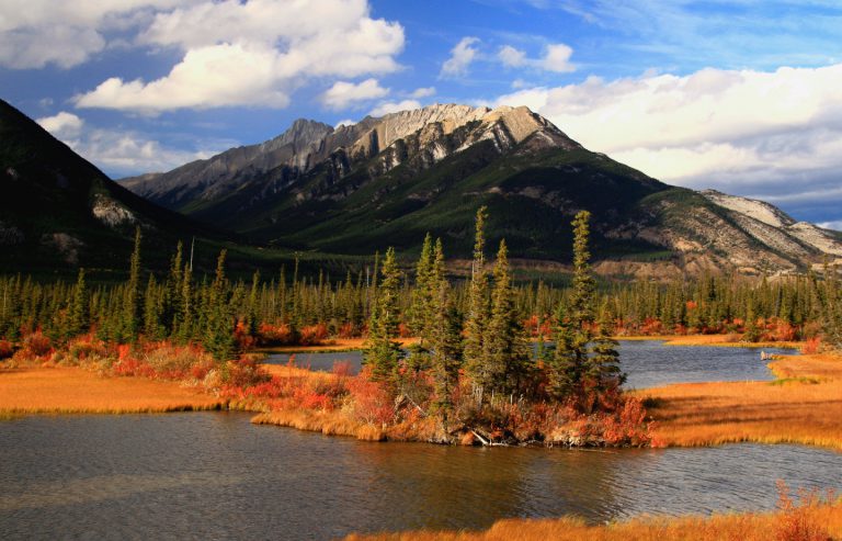 Seven important things to know about wetlands | Canadian Geographic