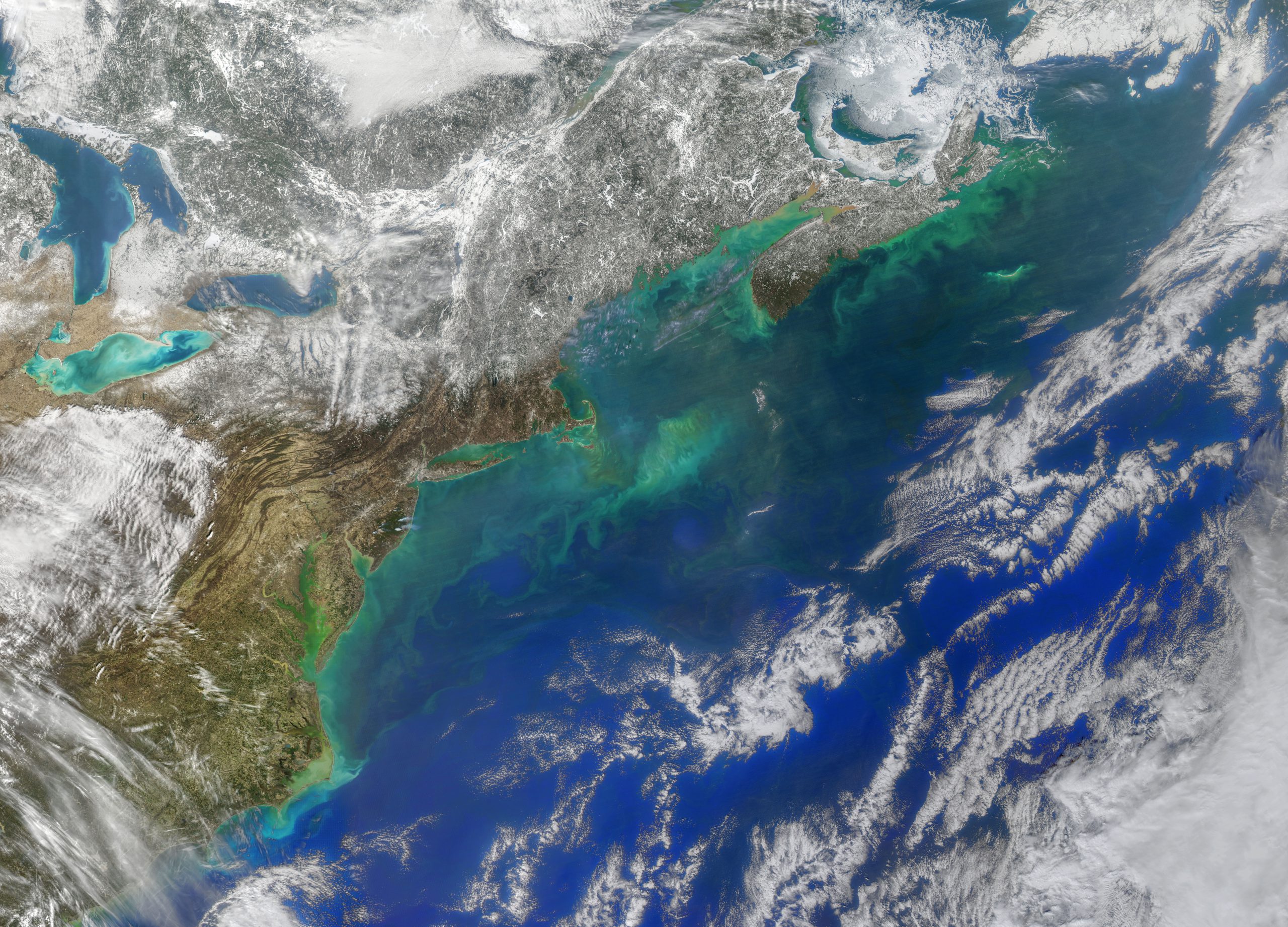 Bears, buds and phytoplankton: Early spring signs appearing in North ...