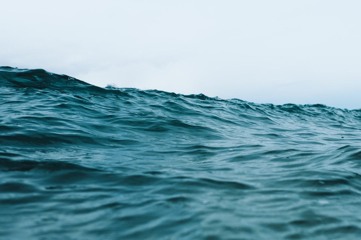 Encouraging tech innovations to safeguard ocean health | Canadian ...