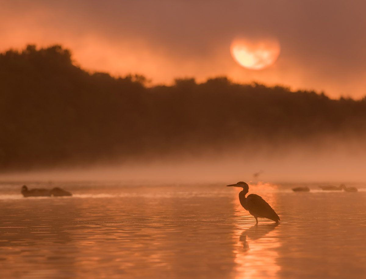 Ottawa River declared heritage river | Canadian Geographic