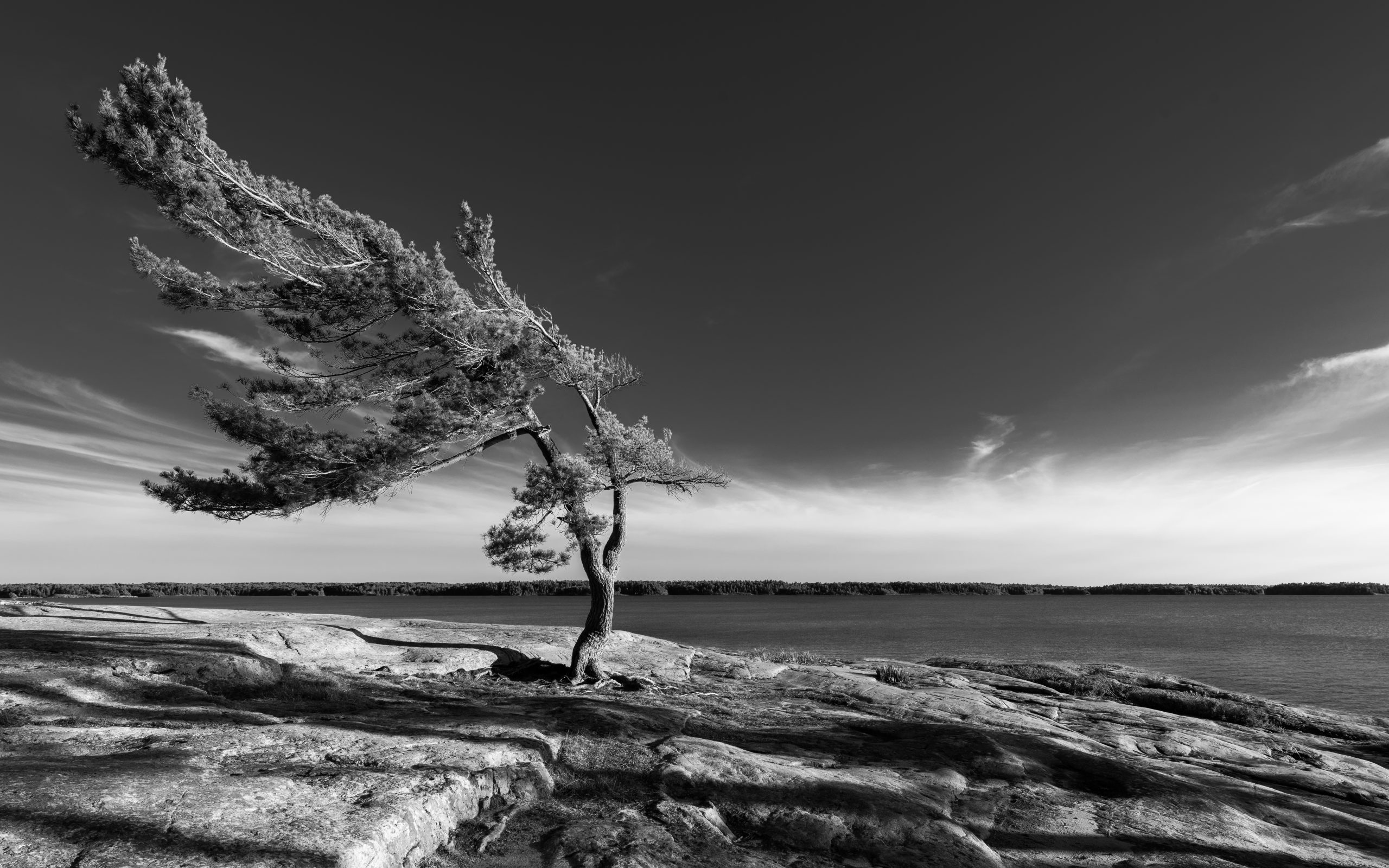 Announcing the winners of the 2020 Canadian Wildlife Photography of the ...