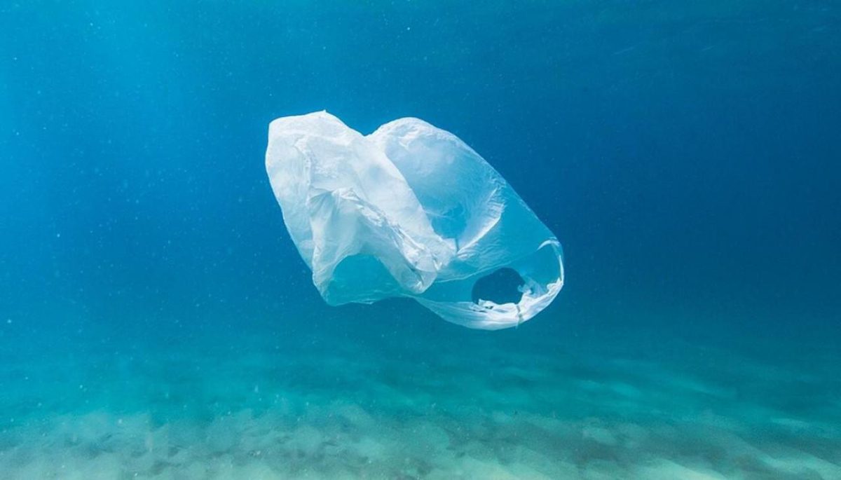 Plastics news: No more single-use plastics, “super enzymes” and more ...