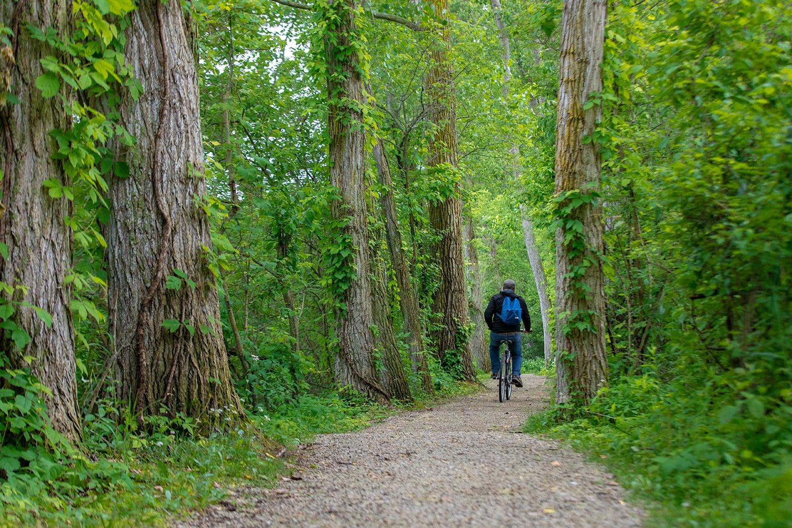 Photos: Point Pelee National Park at 100 | Canadian Geographic