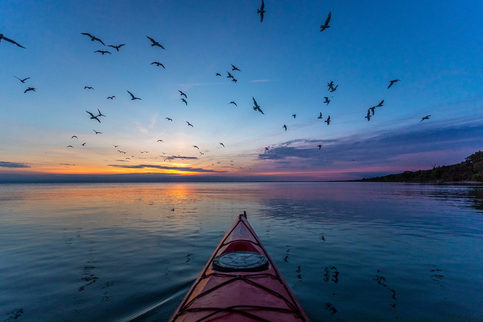 Photos: Point Pelee National Park at 100 | Canadian Geographic