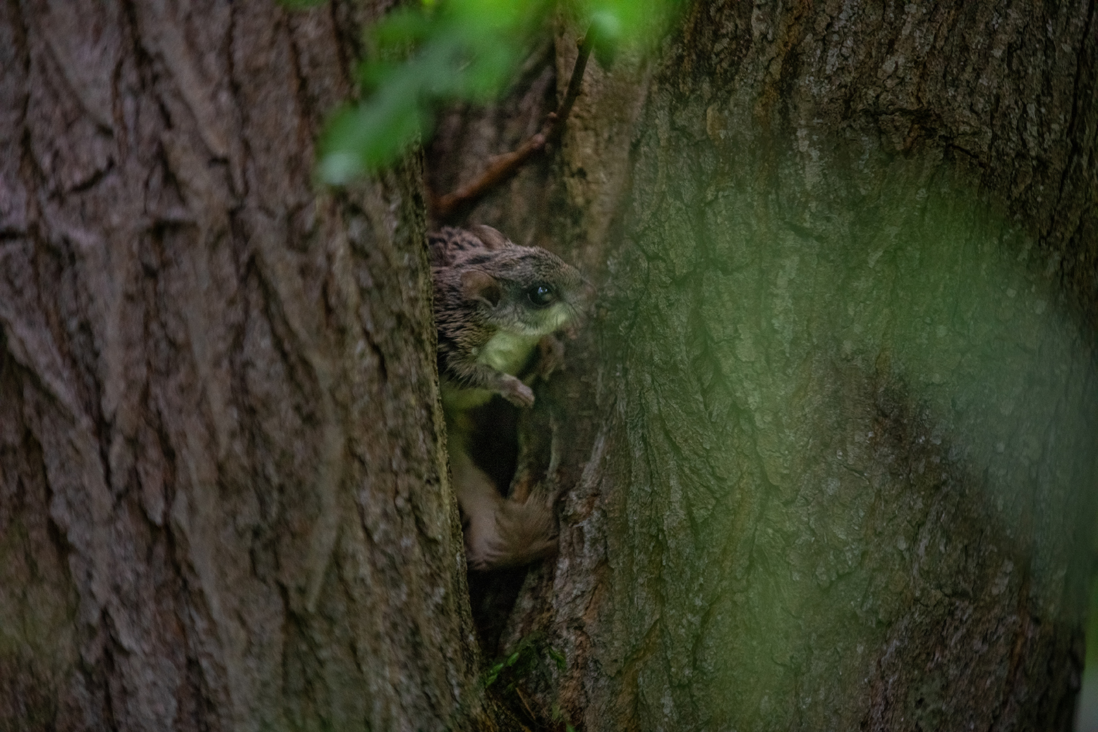 Photos: Point Pelee National Park at 100 | Canadian Geographic
