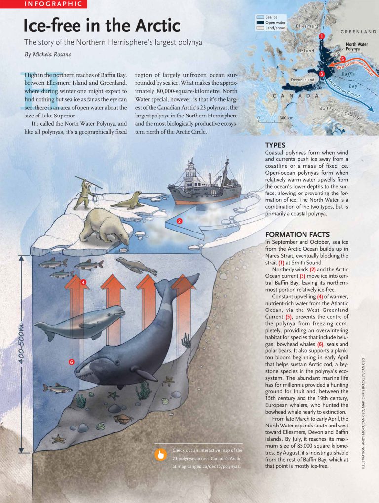 Inuit to discuss how to save the North Water Polynya | Canadian Geographic