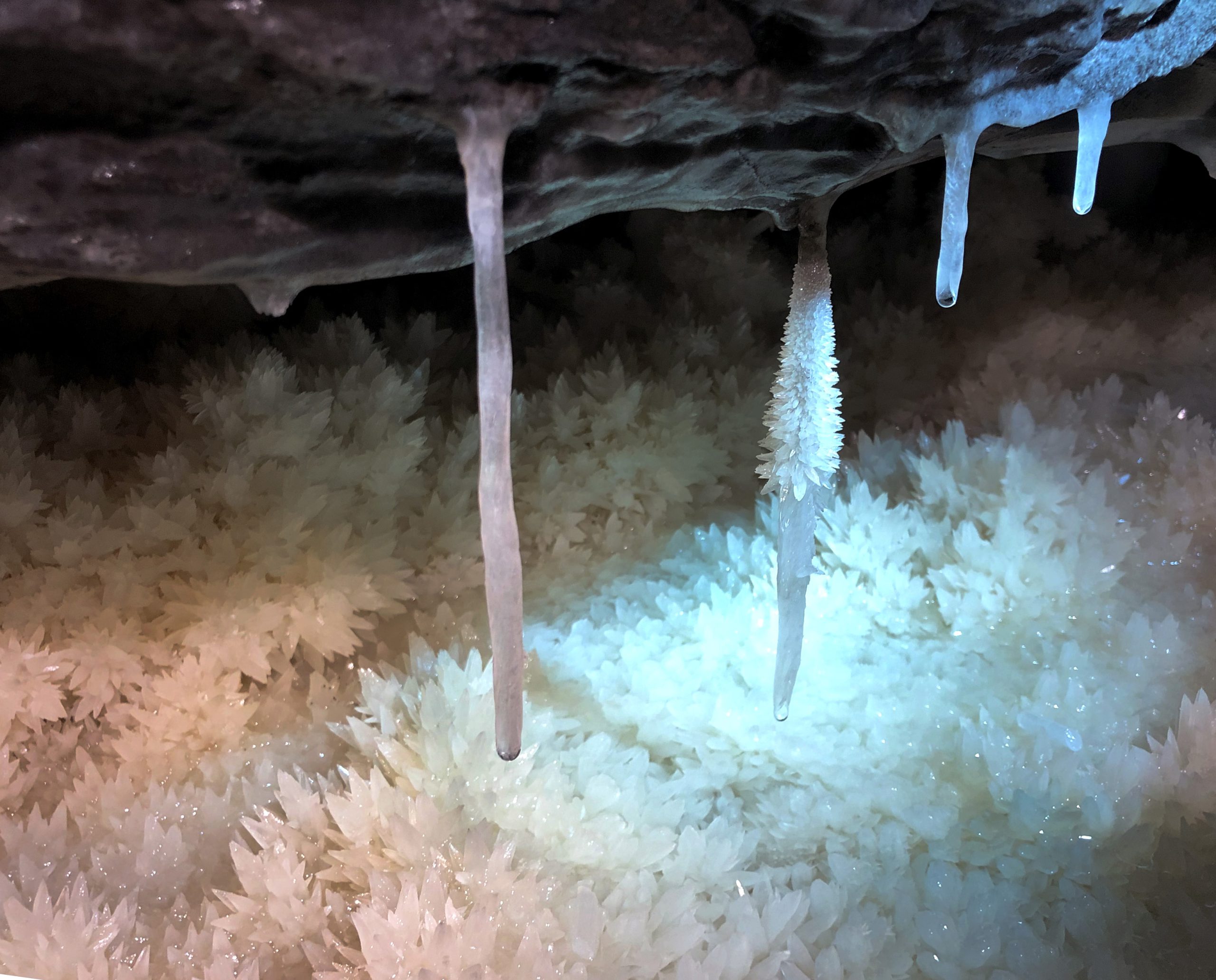 Return to Raspberry Rising | Canadian Geographic