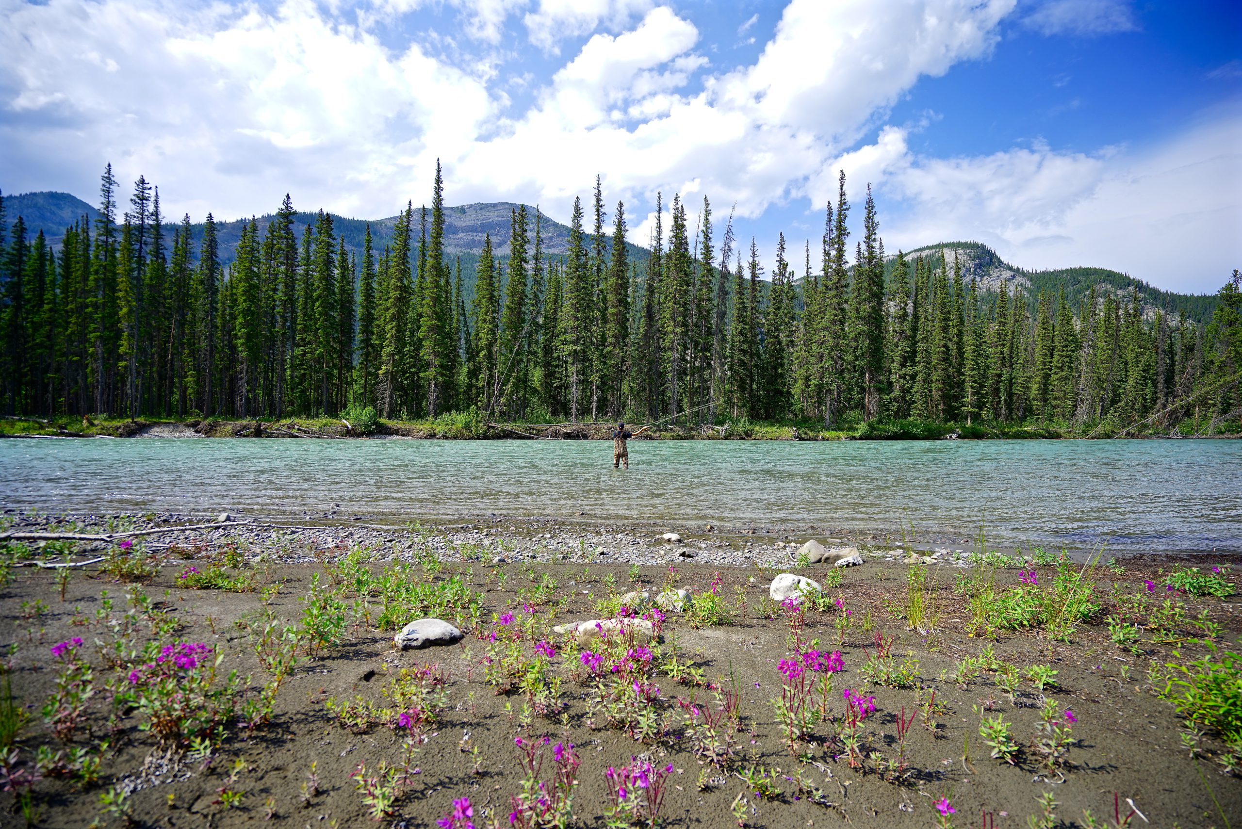 Excerpt from Crossing The Divide: Discovering a Wilderness Ethic in ...