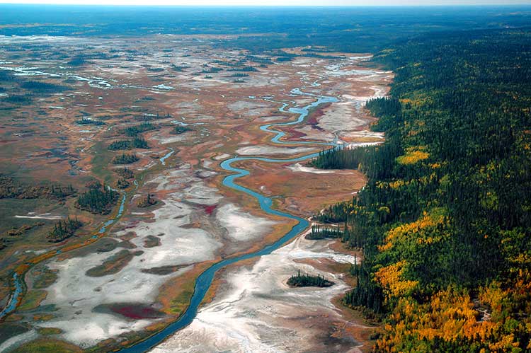 Salt plains and sky preserves of Wood Buffalo National Park | Canadian ...