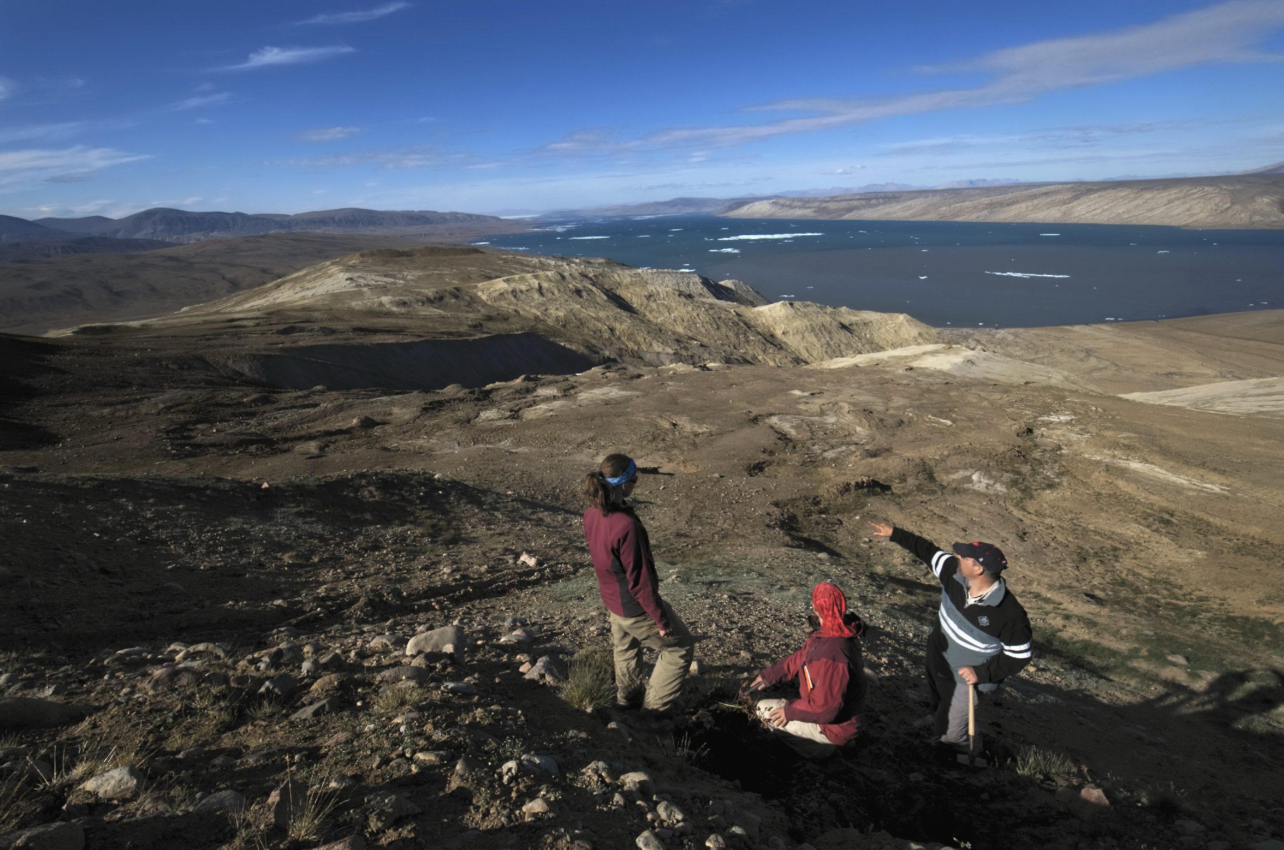 Ancient bear with bad teeth offers insight into modern bear ecology ...