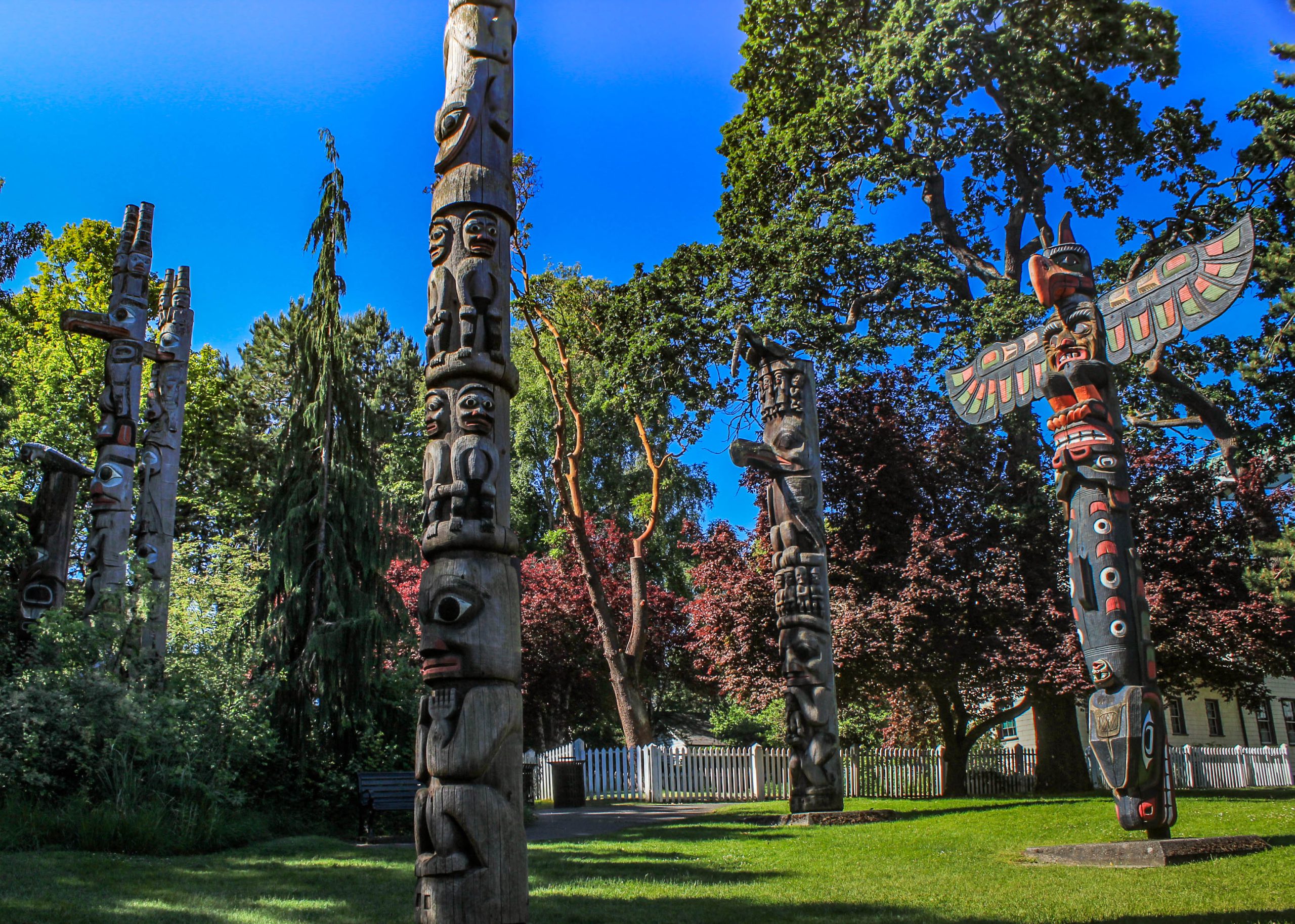 Excerpt from Stories from the Magic Canoe of Wa’xaid | Canadian Geographic