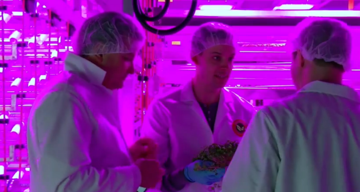 Video tour of world’s first commercial cubic farming facility ...