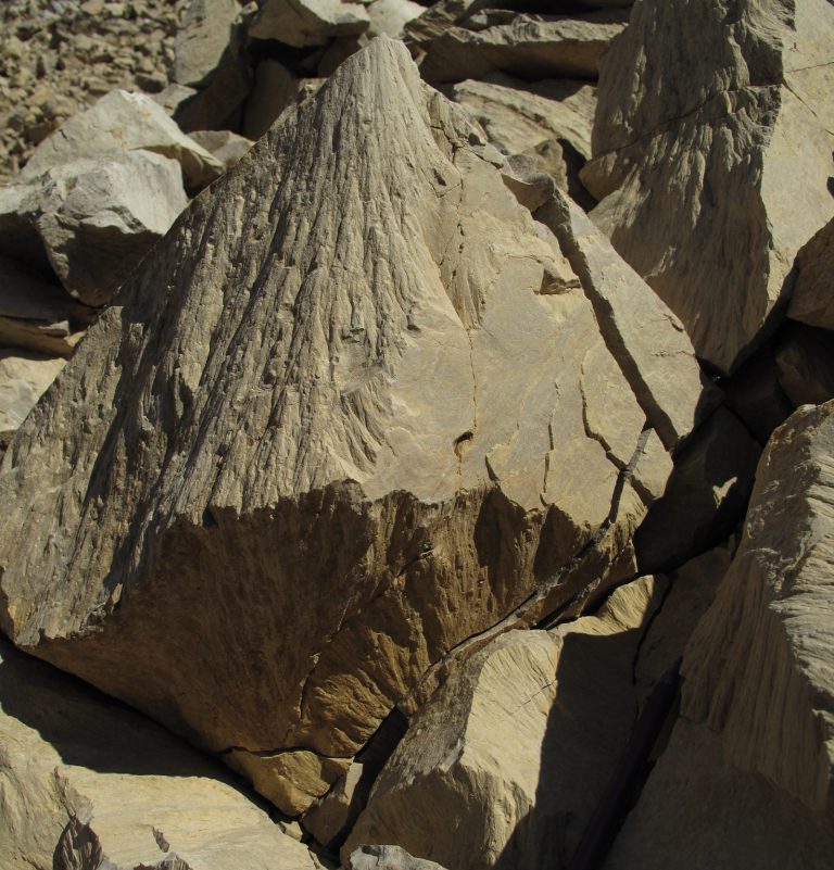 Exposing the secrets of the largest Arctic meteorite crater found in a ...