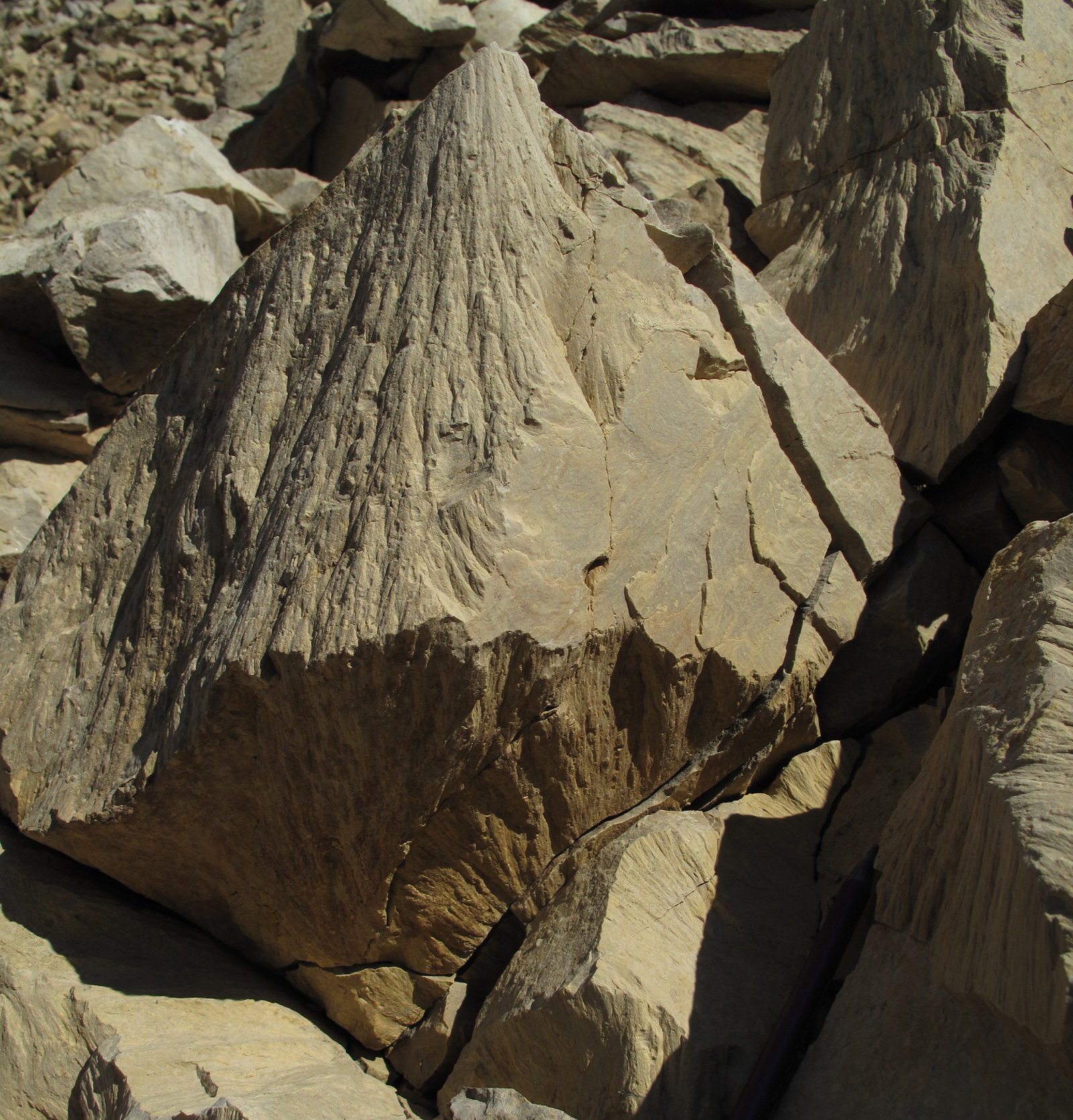 Exposing the secrets of the largest Arctic meteorite crater found in a ...