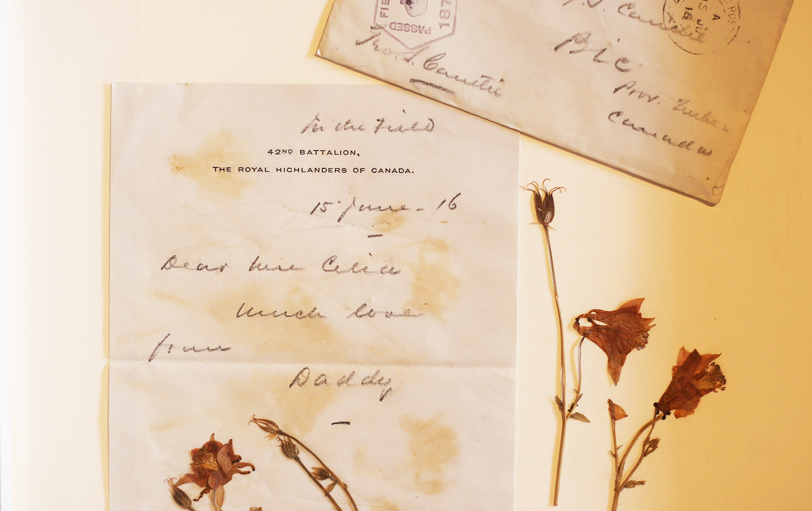 A Canadian soldier’s “war flowers” and the resilience of the human ...