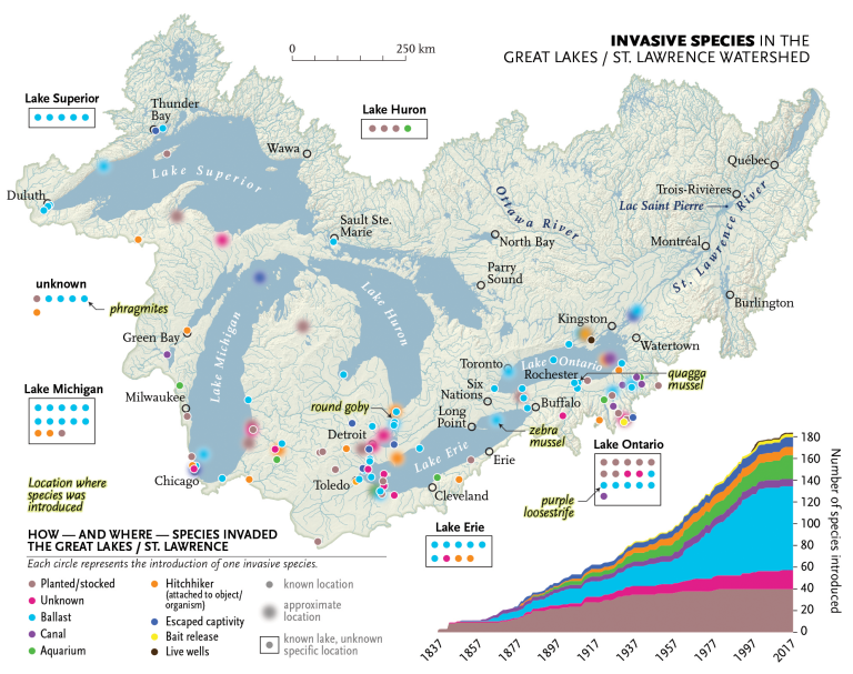 Space invasion: Is it too late to save the Great Lakes? | Canadian ...