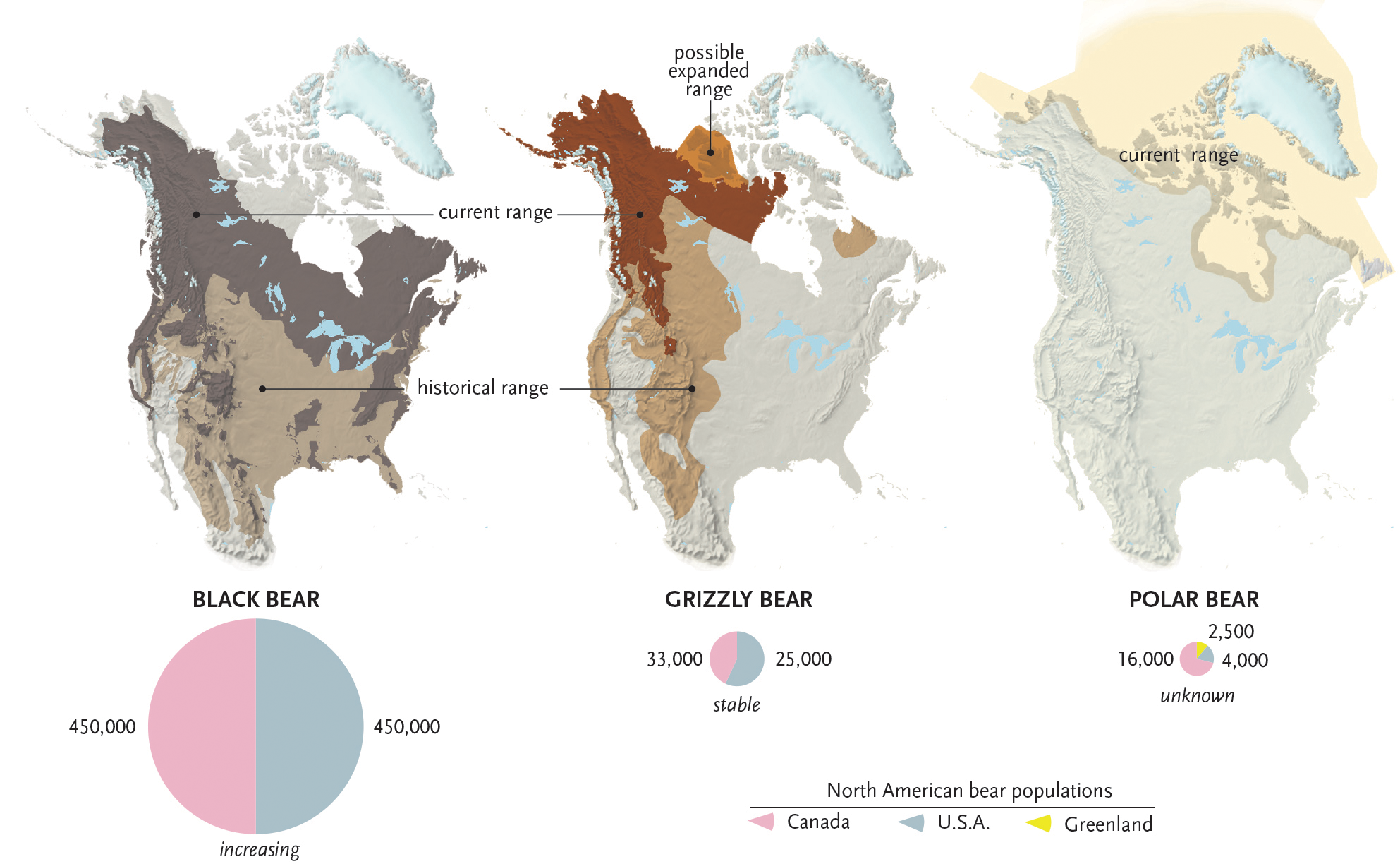 Think like a bear: learning to coexist | Canadian Geographic