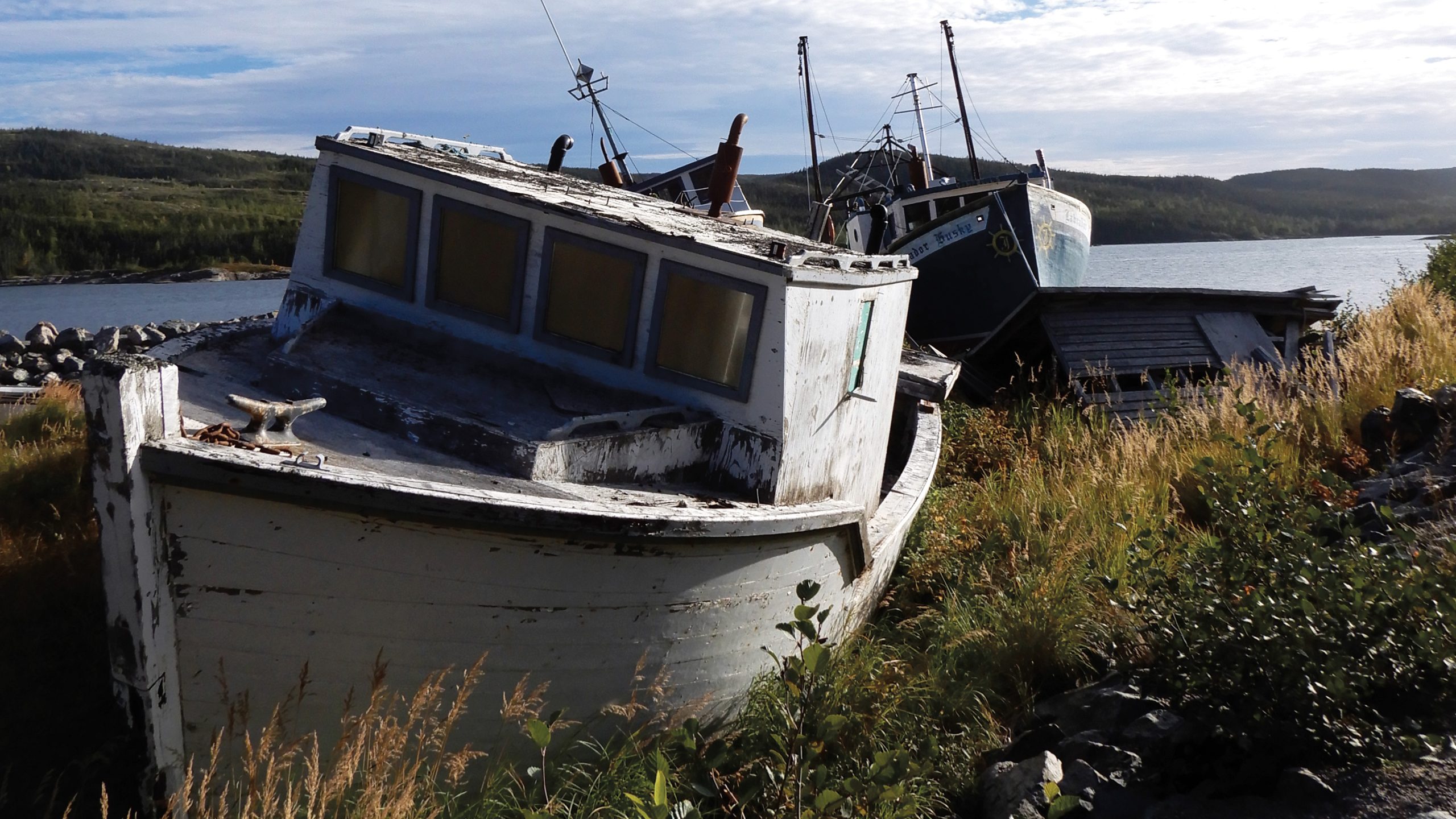 The cod delusion | Canadian Geographic