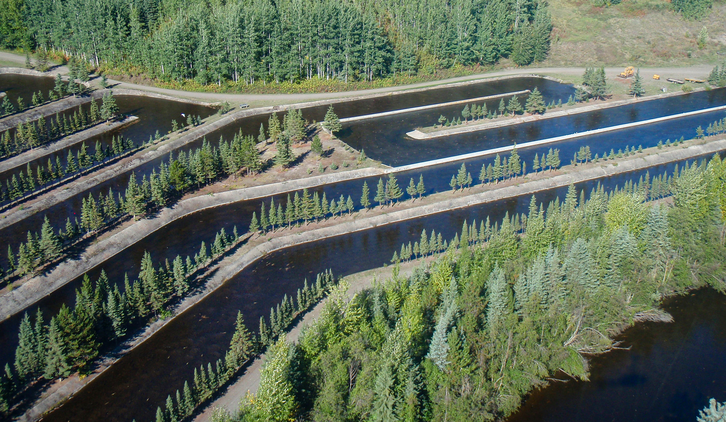 The hatchery crutch: How we got here | Canadian Geographic