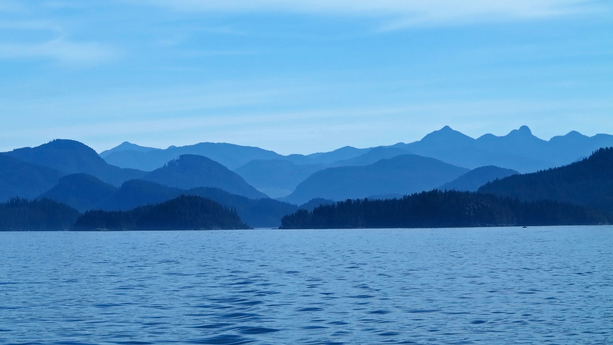 Wildlife Wednesday: Perfectly preserved baby mammoth found in the Yukon ...