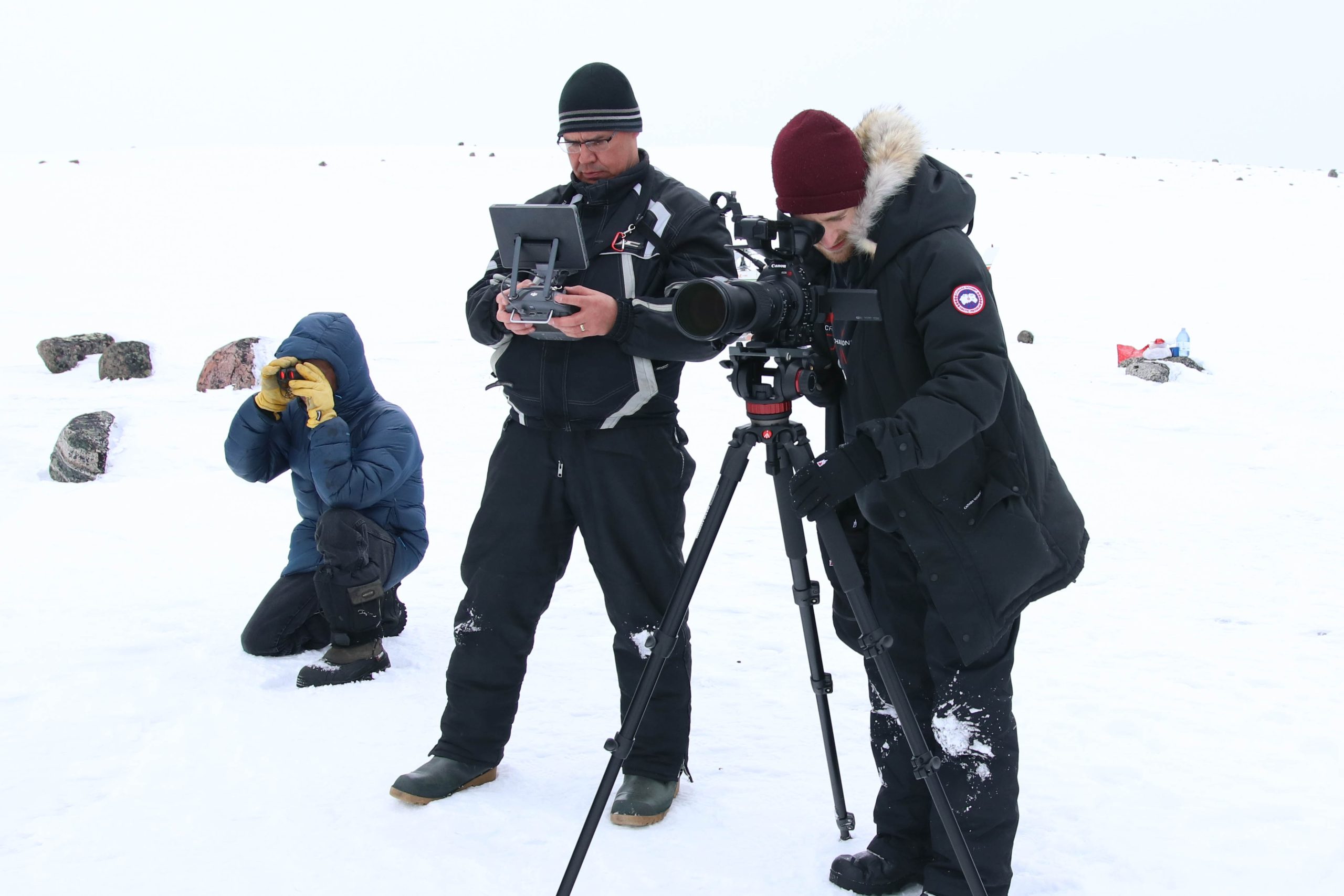 Inuit-led project tells the story of Inuit connections with caribou ...