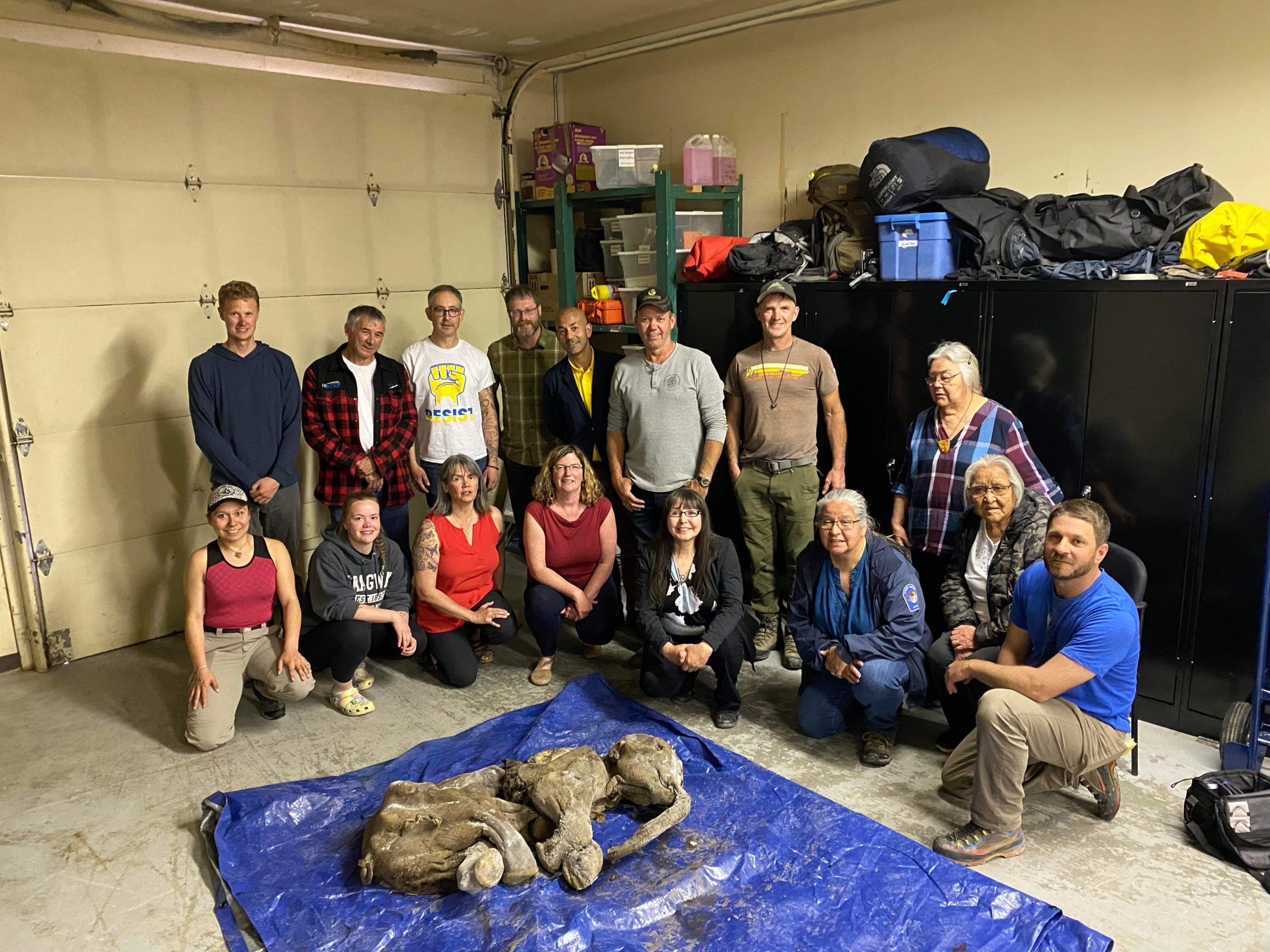 Wildlife Wednesday: Perfectly preserved baby mammoth found in the Yukon ...