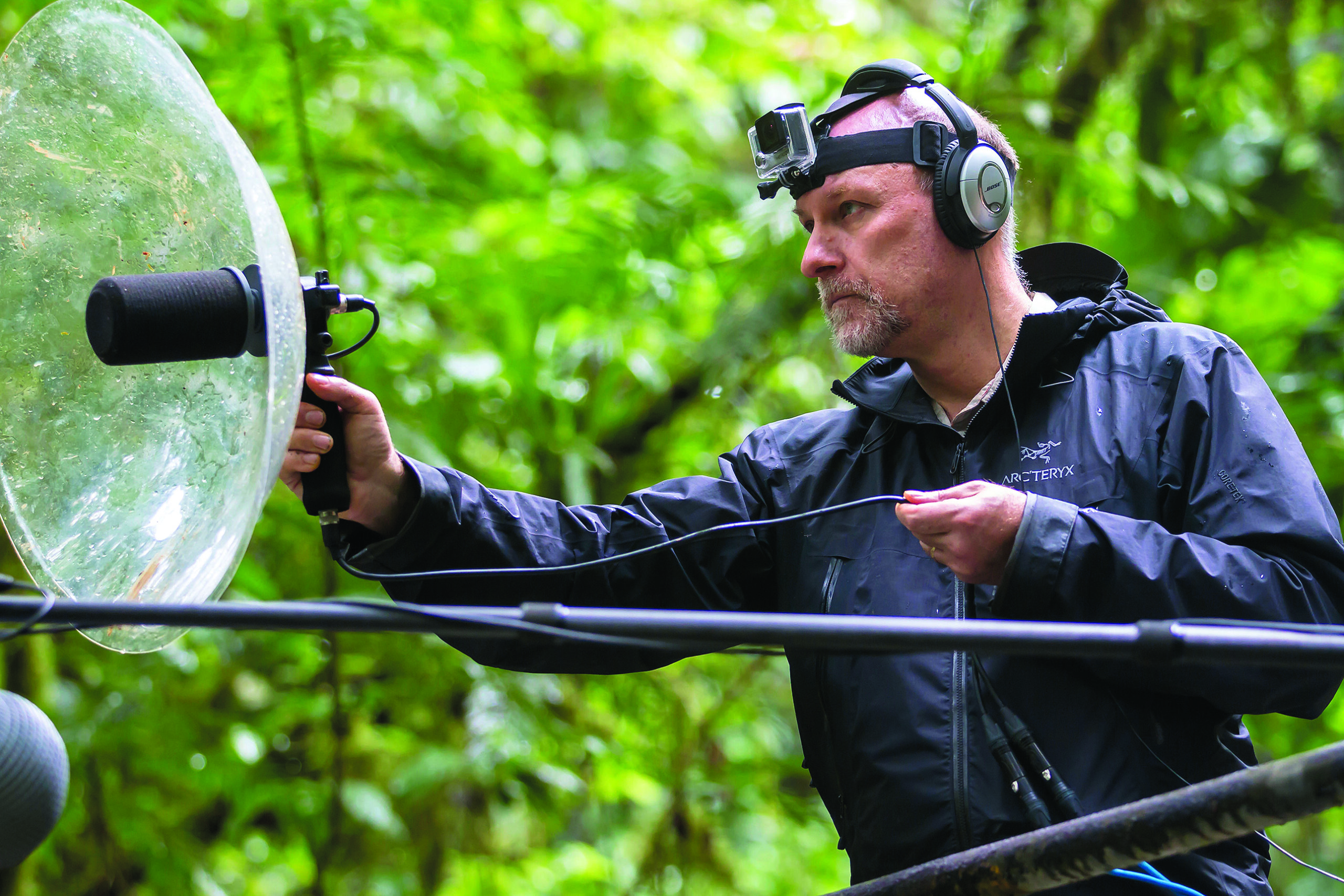 Bioacoustics: What nature’s sounds can tell us about the health of our ...