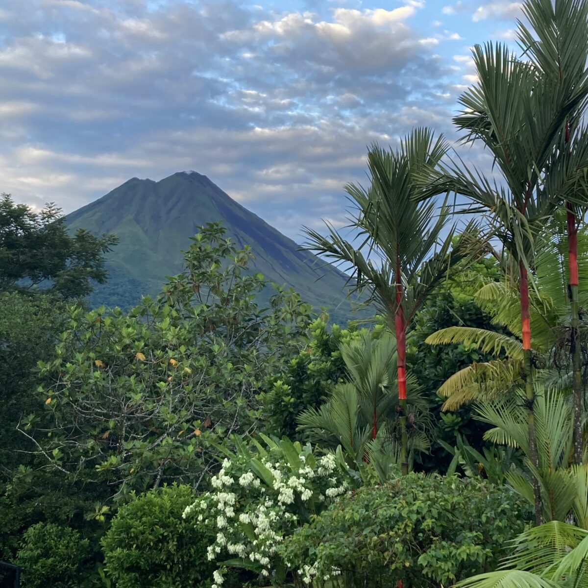 Costa Rica An Incredible mostly Birding Adventure Canadian Geographic Costa Rica An Incredible mostly Birding Adventure Canadian Geographic