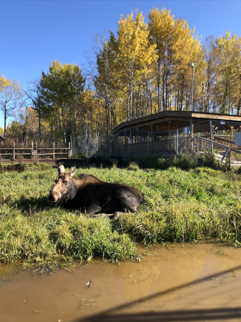 The Essential Itinerary: Western Quebec | Canadian Geographic