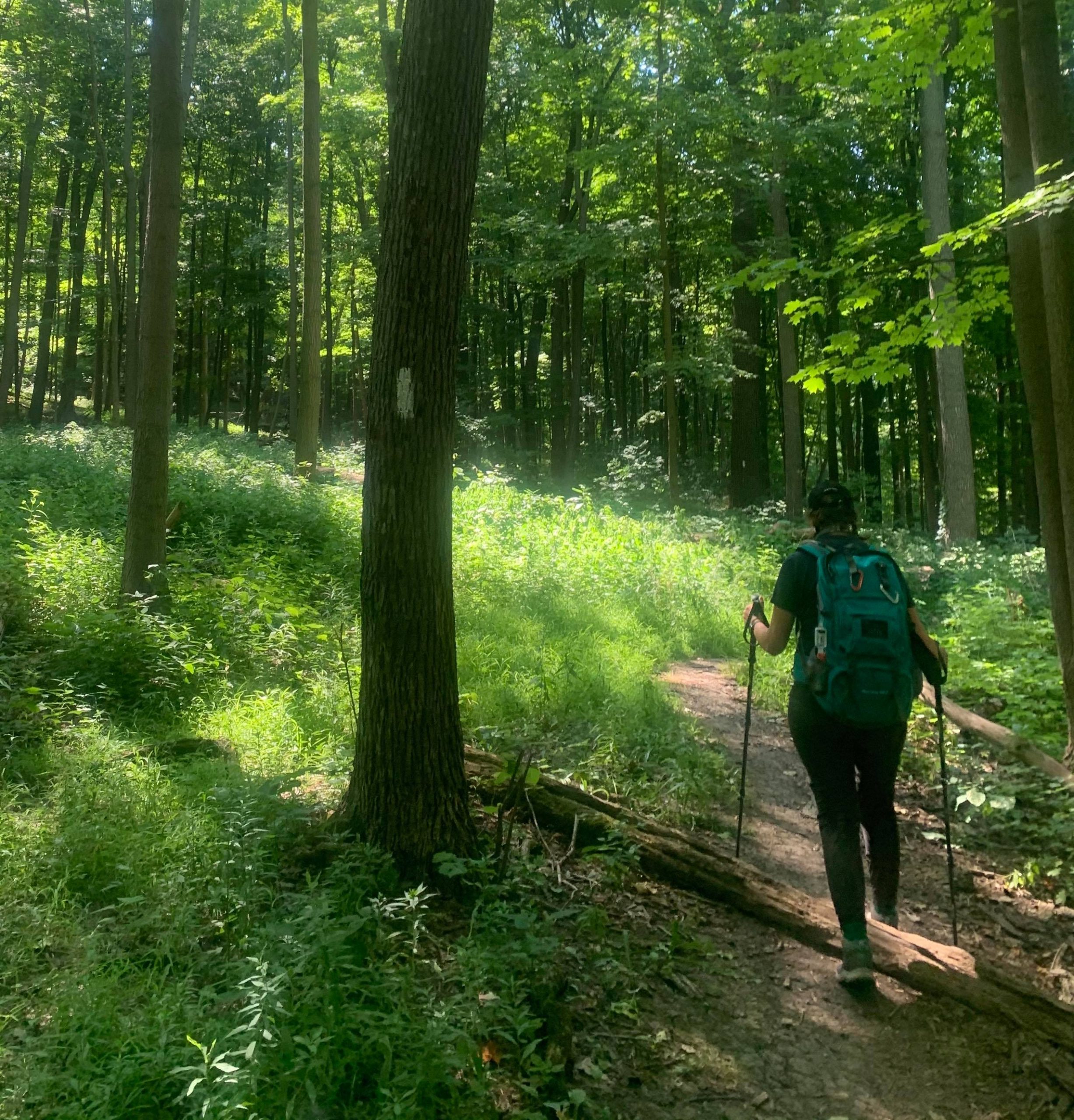 Into the woods: My first multi-day hike | Canadian Geographic