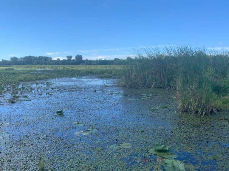 One-day itinerary for Point Pelee National Park | Canadian Geographic