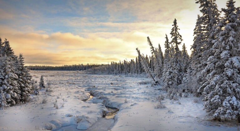 5 ways to win at winter in Manitoba’s Riding Mountain National Park ...