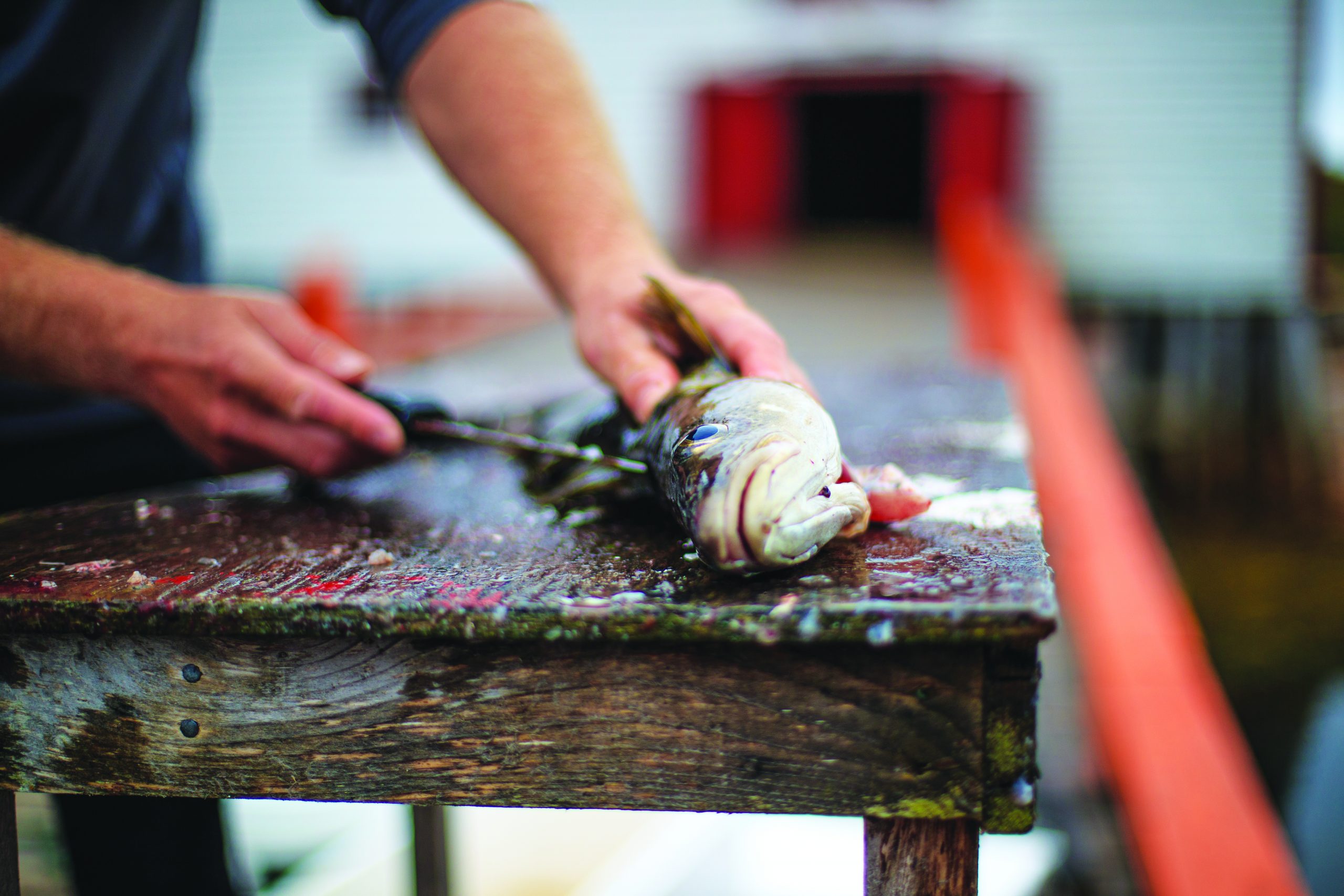 Across the tickle: A return to Battle Harbour | Canadian Geographic