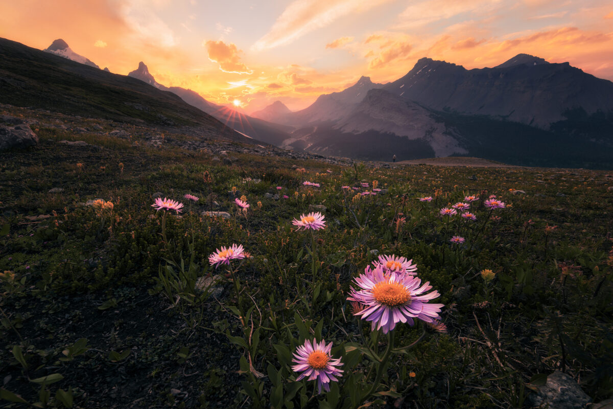 See the winners of the Show Us Your Canada photo competition | Canadian ...