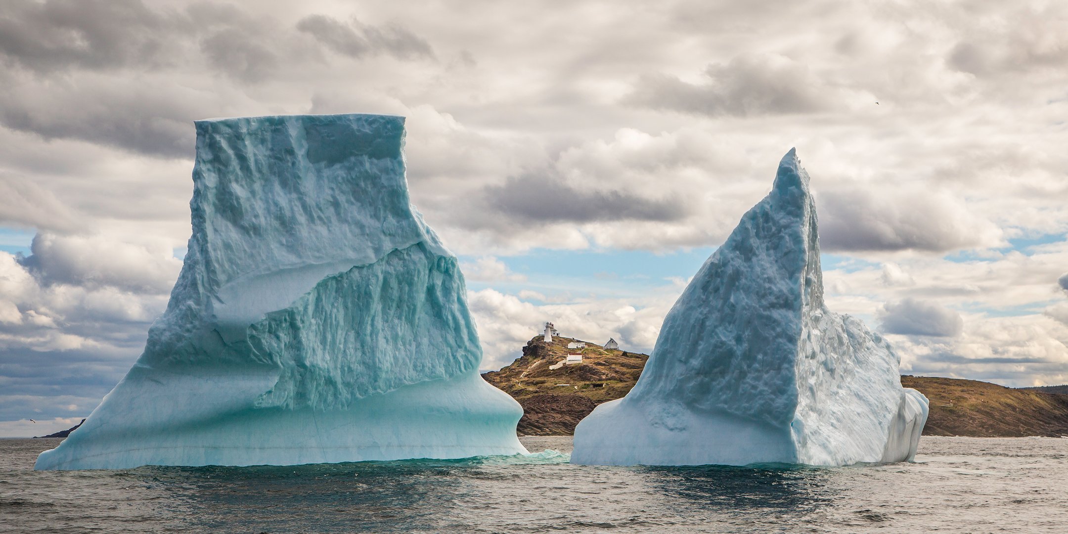 Chasing icebergs in Newfoundland | Canadian Geographic