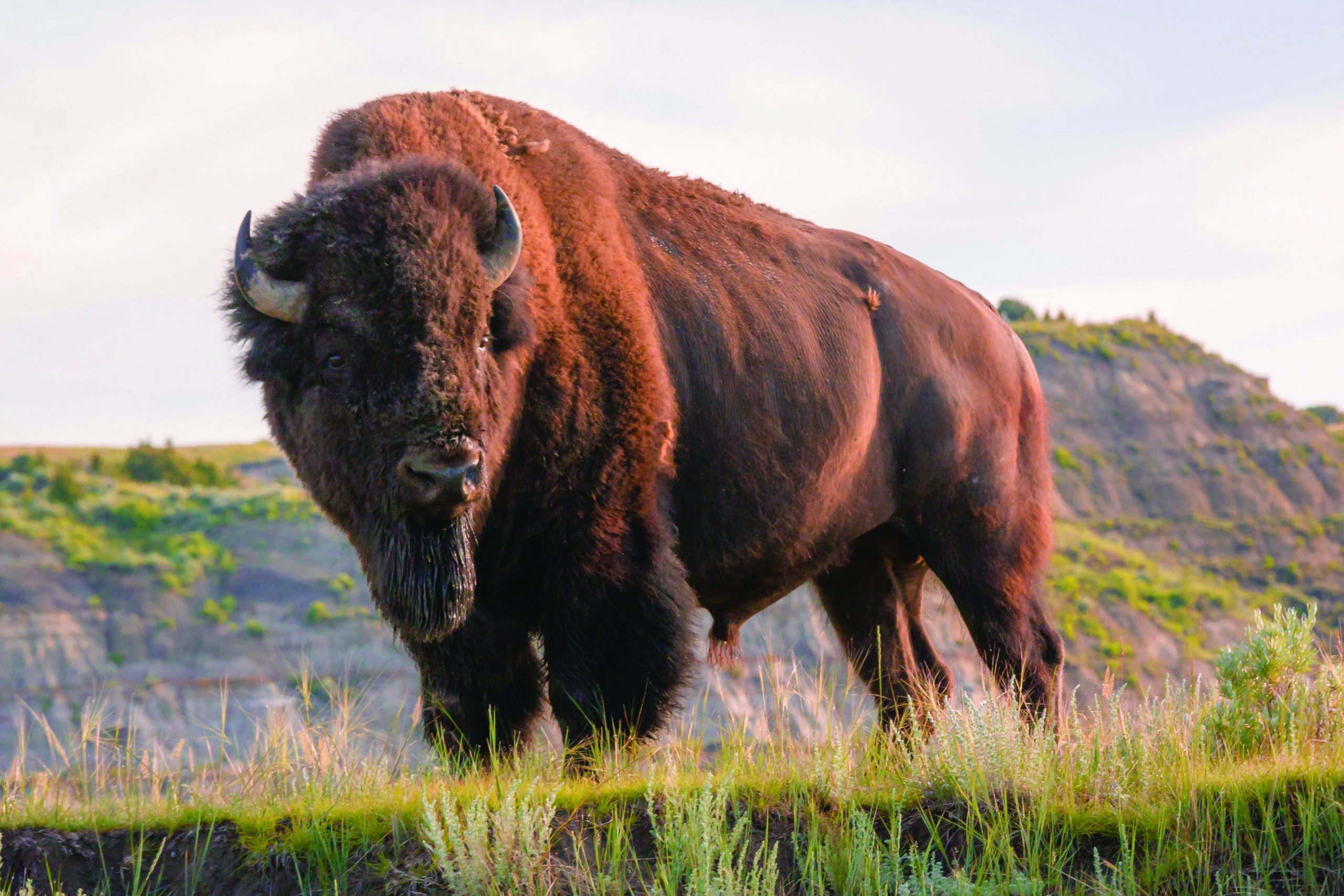 Nature adventures in North Dakota | Canadian Geographic