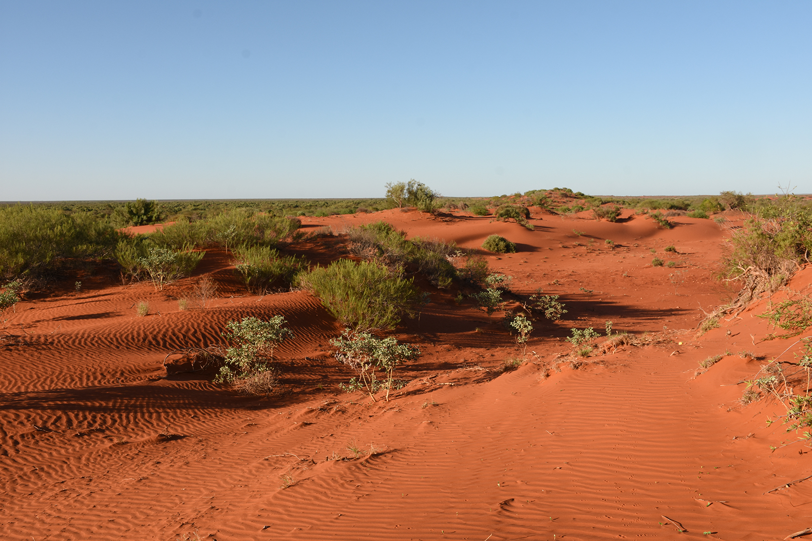 Where the outback meets the reef: exploring Western Australia’s Coral ...