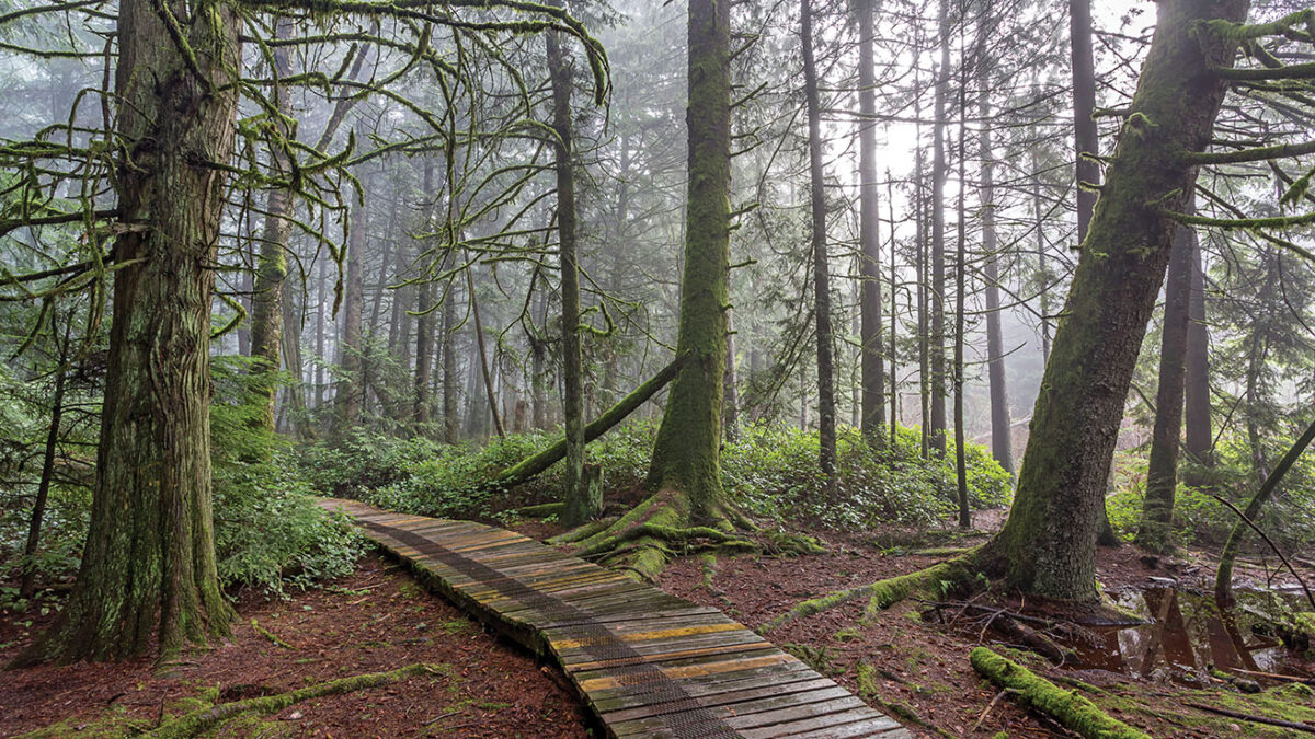 Five fascinating nature hot spots to explore in British Columbia ...