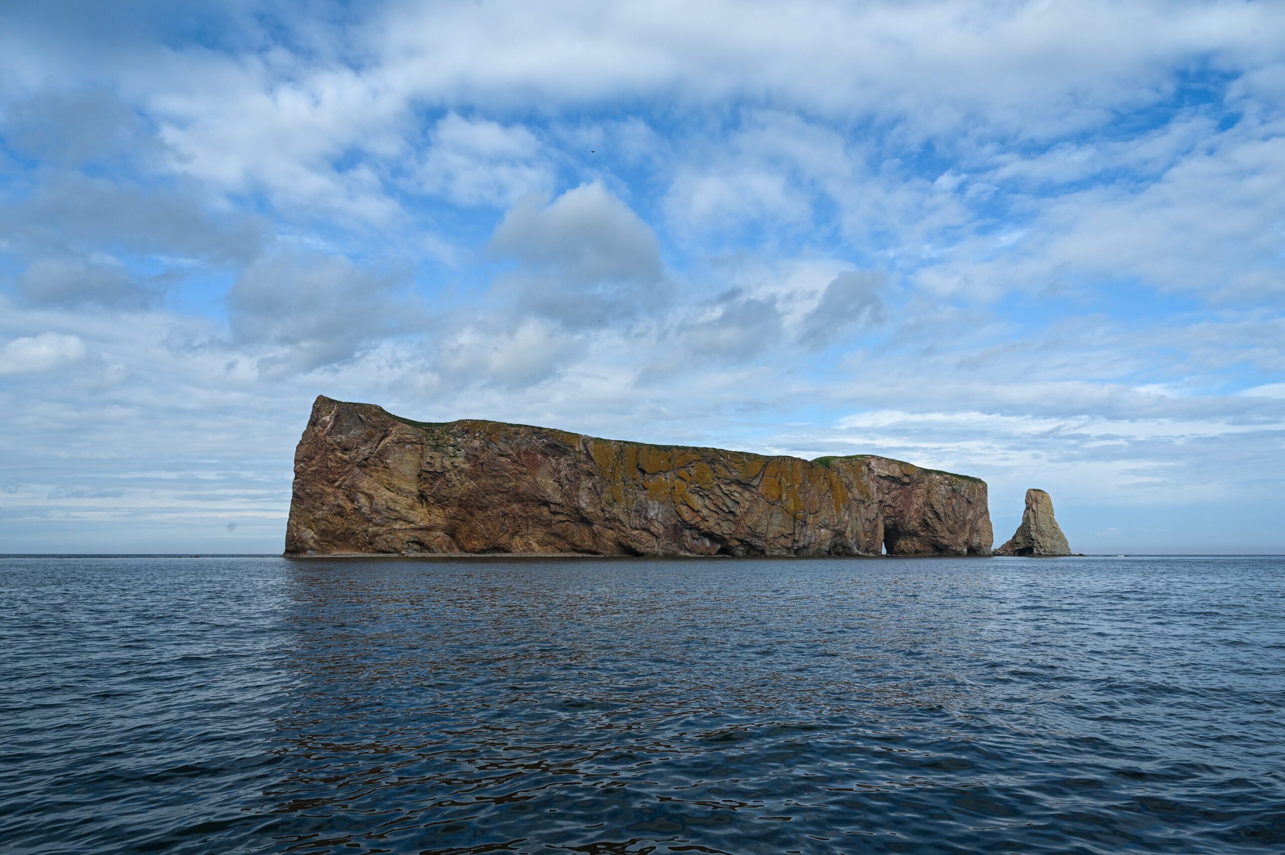 Highlights from One Ocean Expeditions’ 2019 East Coast Fins and Fiddles ...
