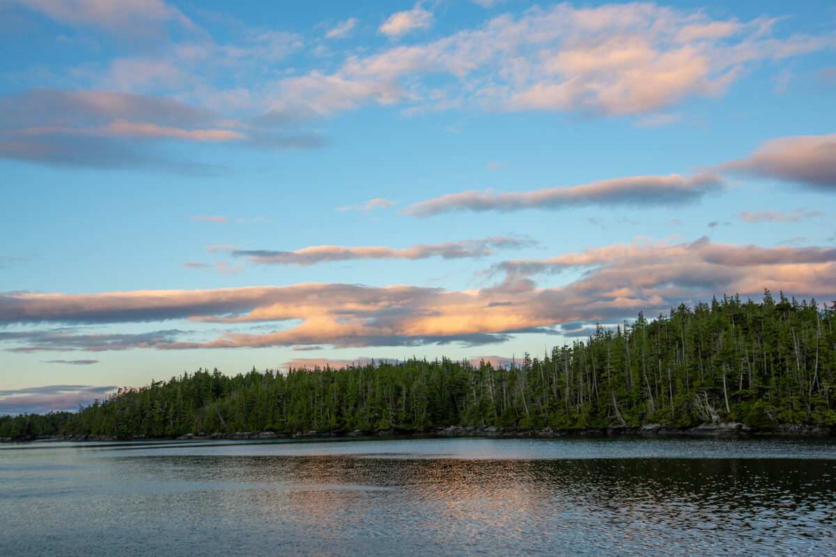 Exploring northern Vancouver Island by boat with Maple Leaf Adventures ...