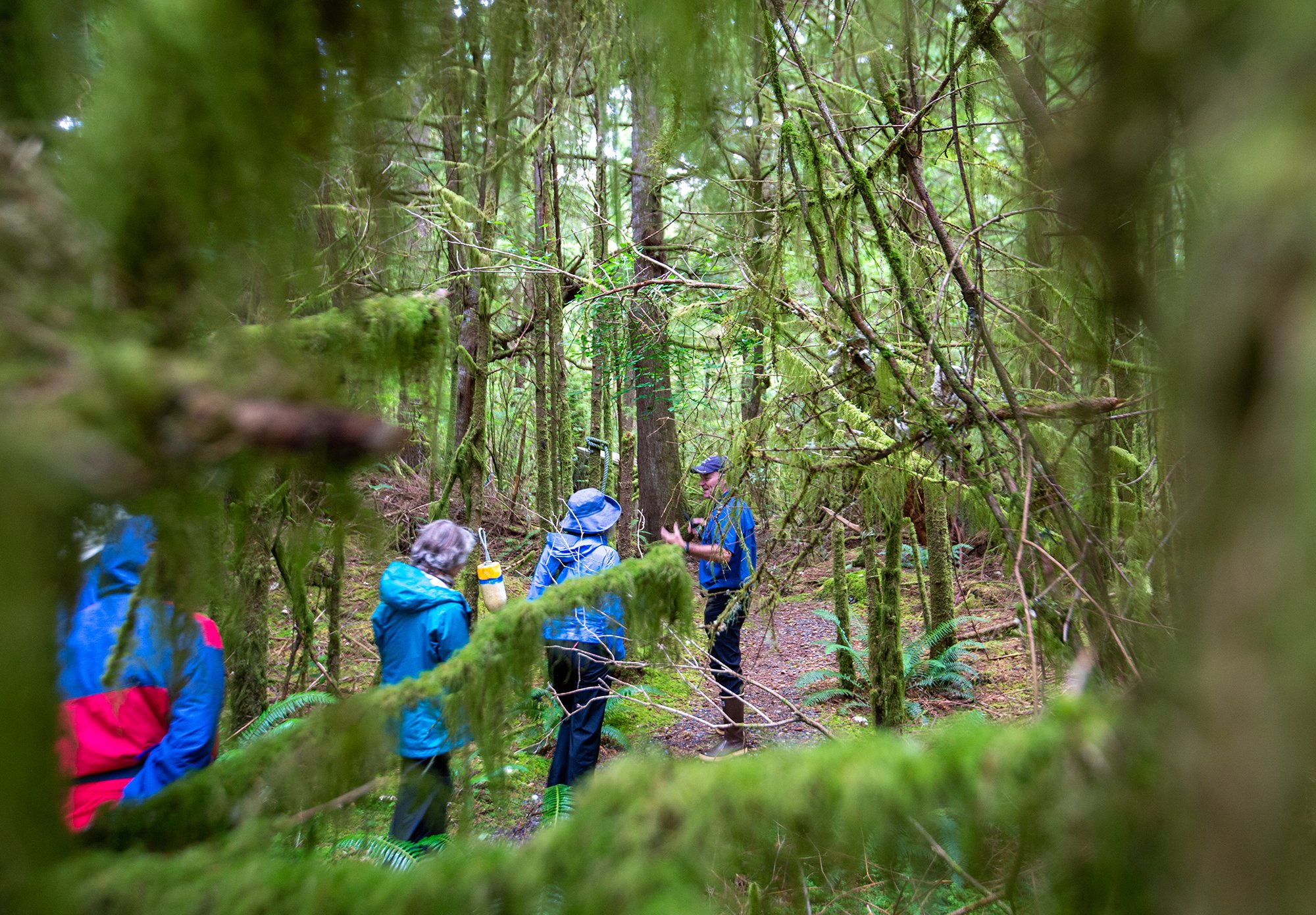 Exploring northern Vancouver Island by boat with Maple Leaf Adventures ...