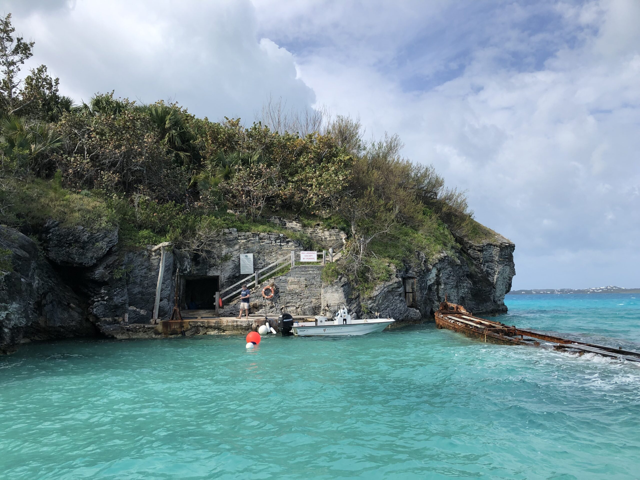 Discovering Bermuda’s cahow country | Canadian Geographic