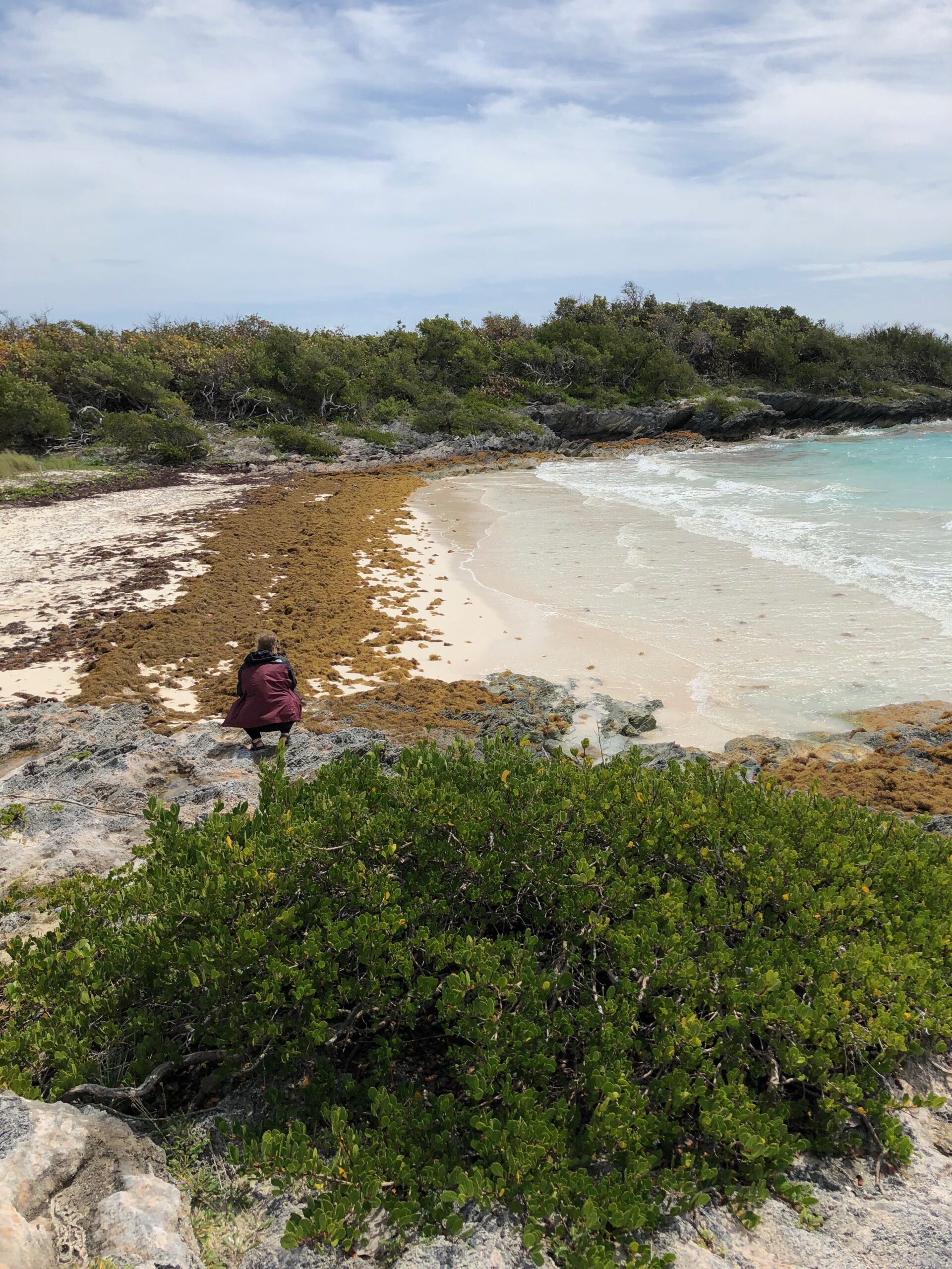 Discovering Bermuda’s cahow country | Canadian Geographic
