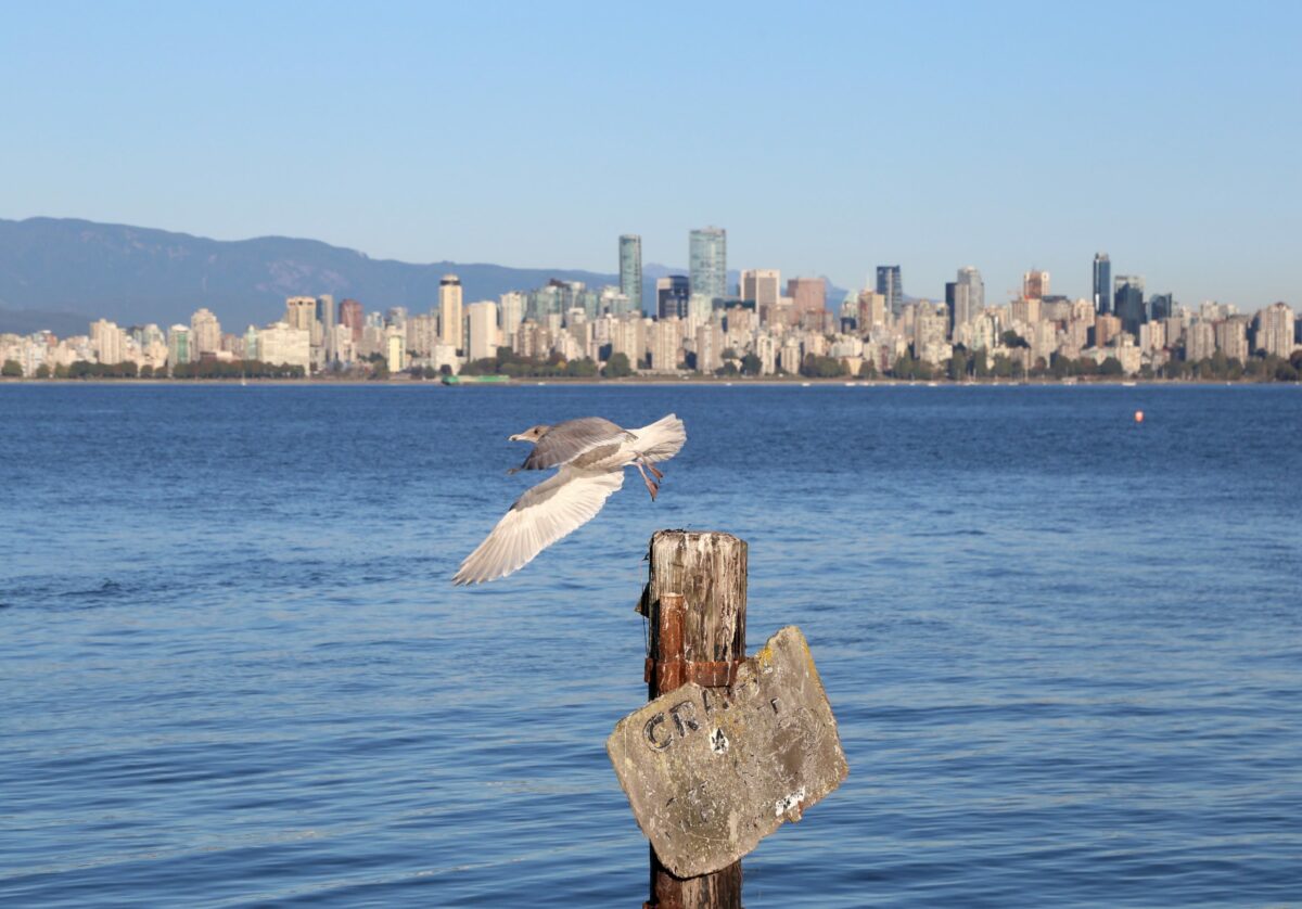 Coming back to Canada: A pandemic odyssey | Canadian Geographic