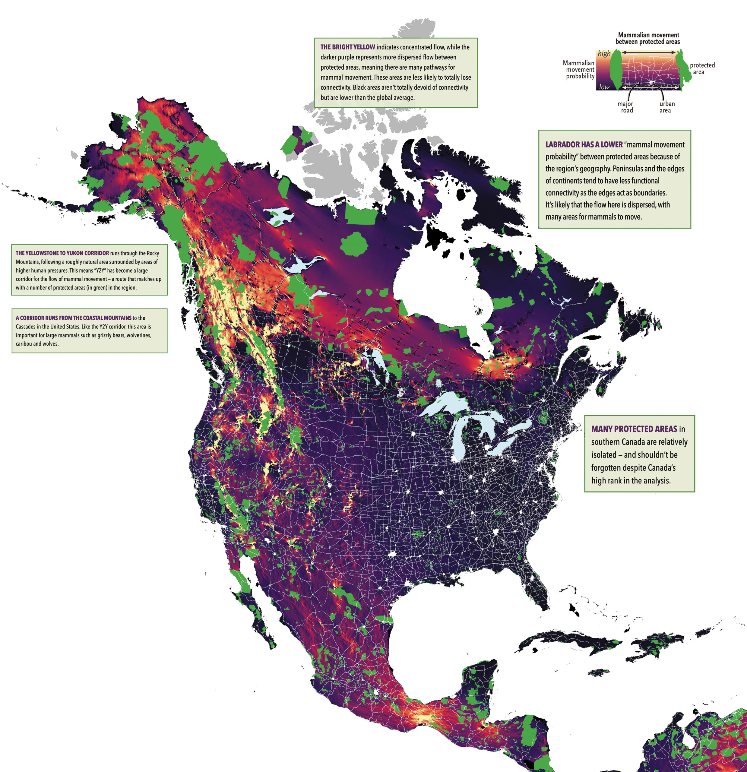 Global map depicts mammal movement between protected areas | Canadian ...