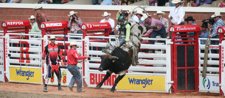 A beginner’s guide to bull riding | Canadian Geographic