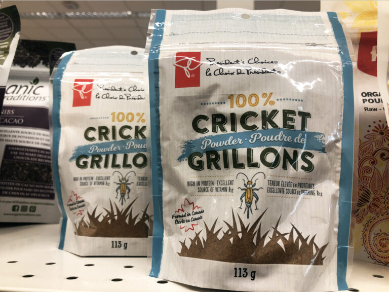 Cooking with crickets: A sustainable food option packed with protein ...