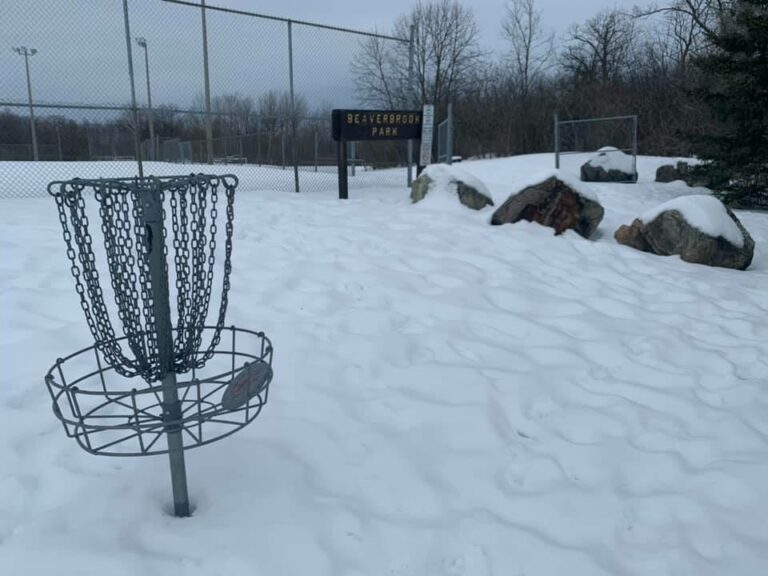 Disc golf is the sport you should take up this summer | Canadian Geographic