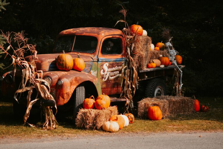 10 ways to celebrate spooky season in Ontario | Canadian Geographic