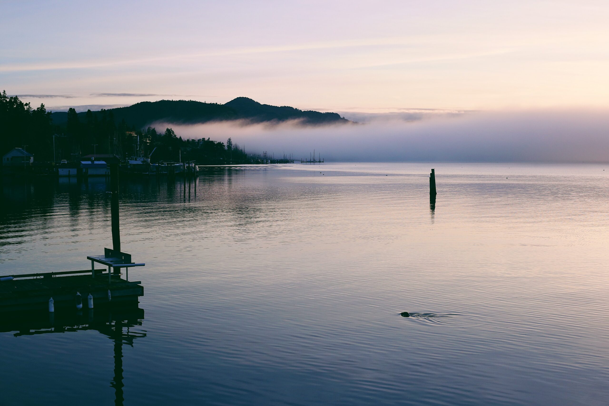 In search of self-care: Exploring B.C.’s South Island Spirit Loop ...